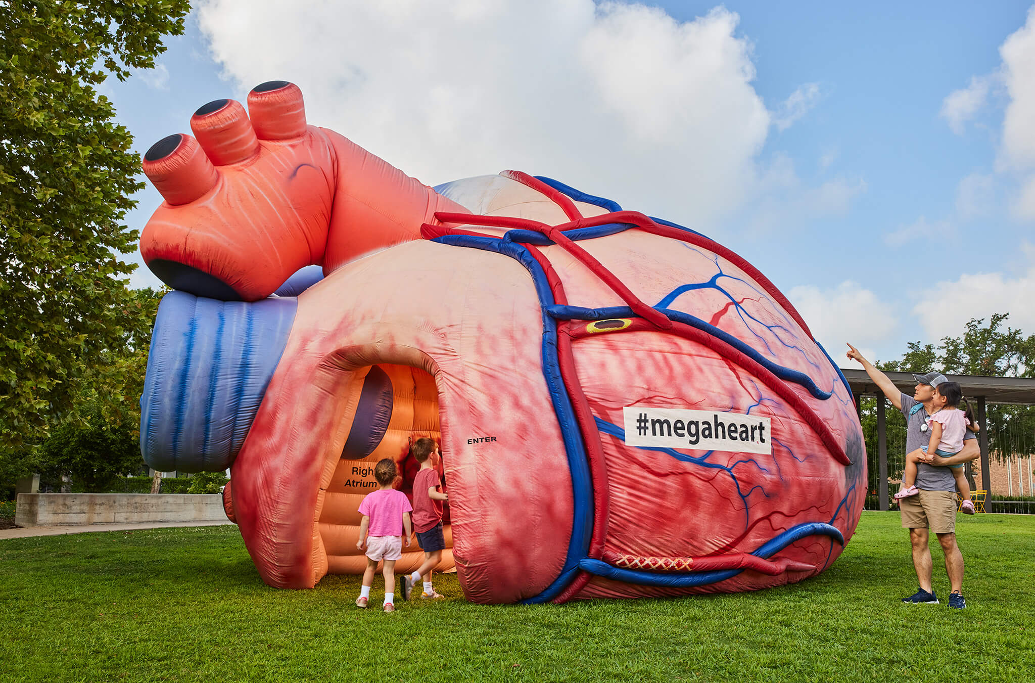 mega heart® | Medical Inflatables