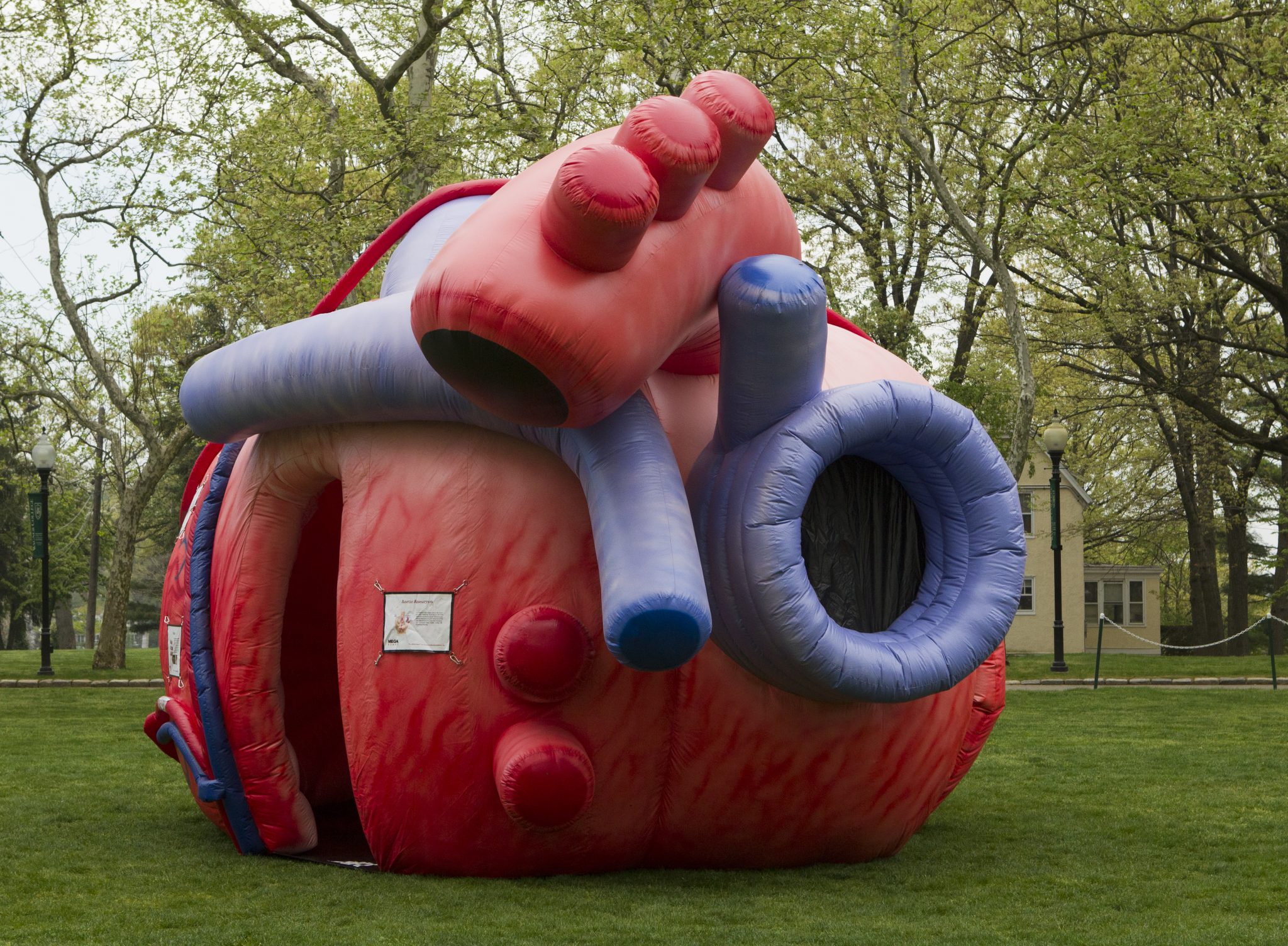 mega heart® | Medical Inflatables