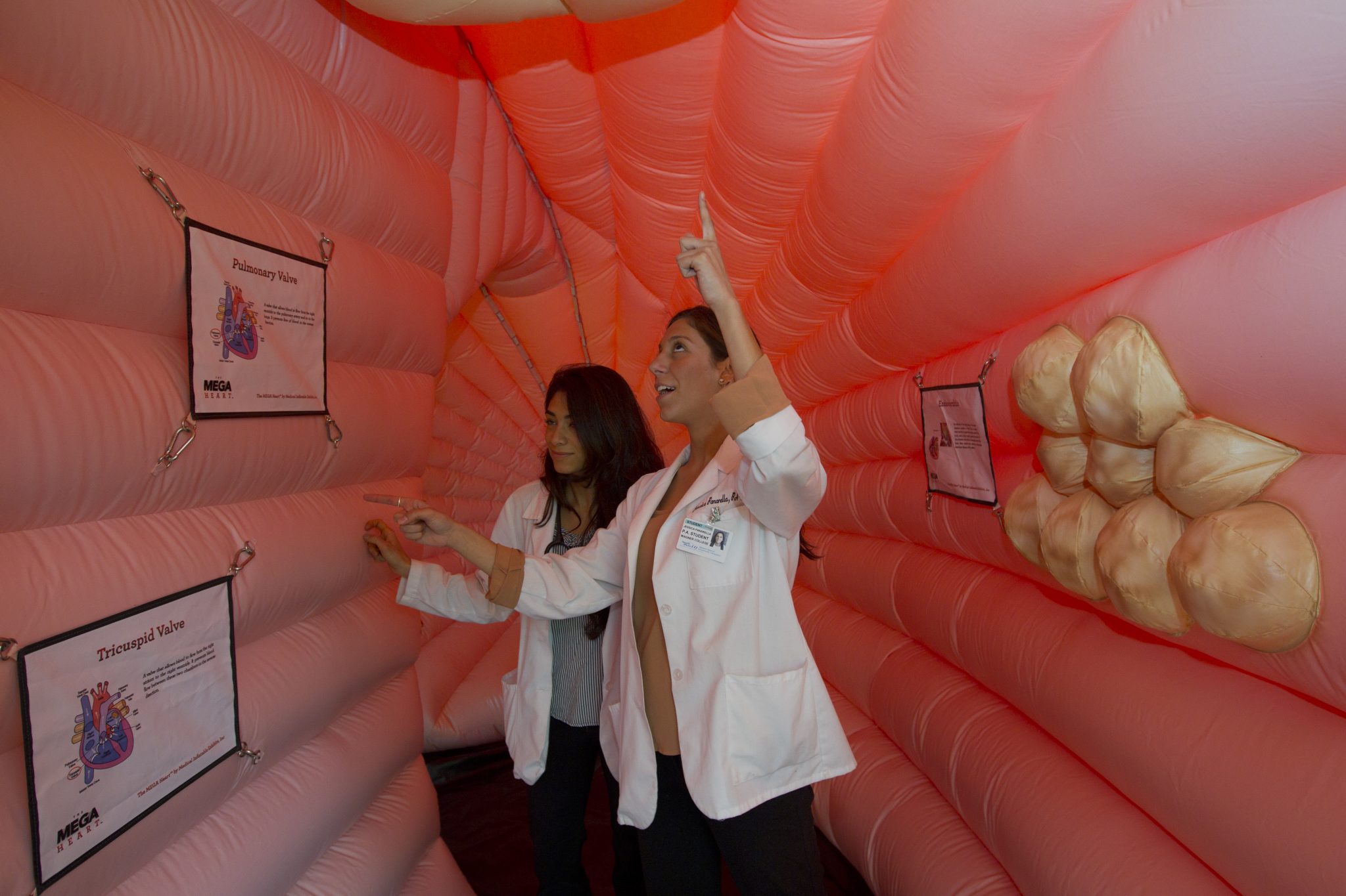 mega heart® | Medical Inflatables