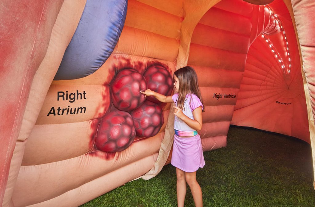 mega heart® | Medical Inflatables